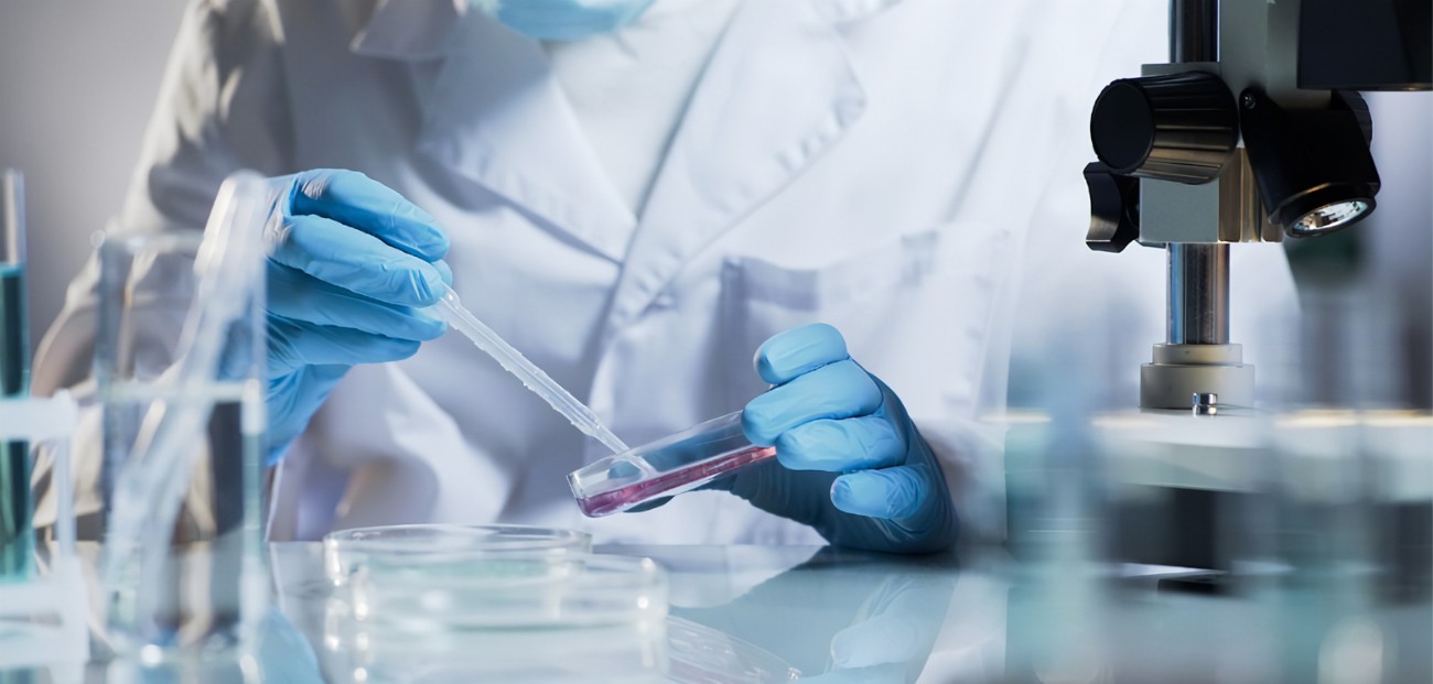 Canadian Association of Forensic Medicine – Fostering Excellence in ...